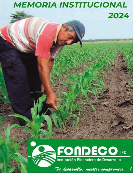 Memoria Anual 2024 - Fondeco IFD